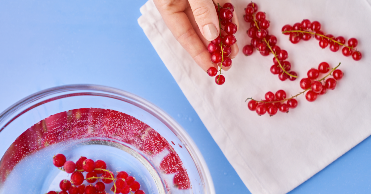 Voici comment bien congeler les groseilles